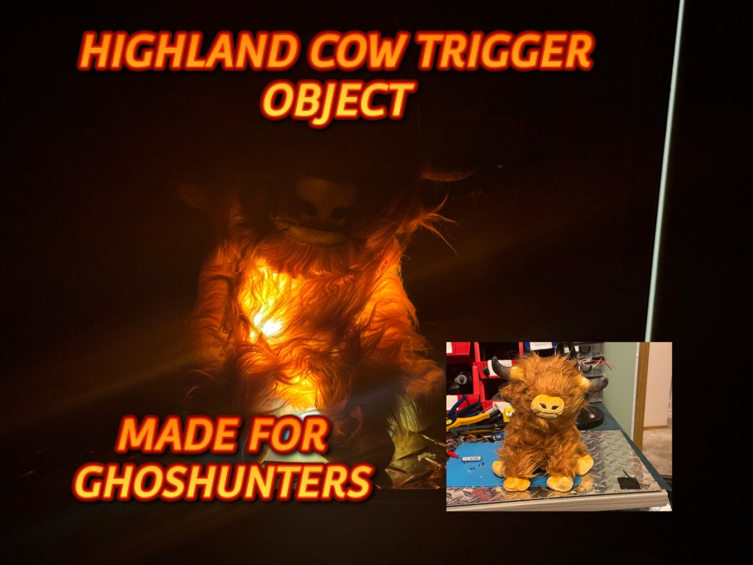 Ghost Hunting Highland Cow Ghost Hunting Equipment or Kit for ...