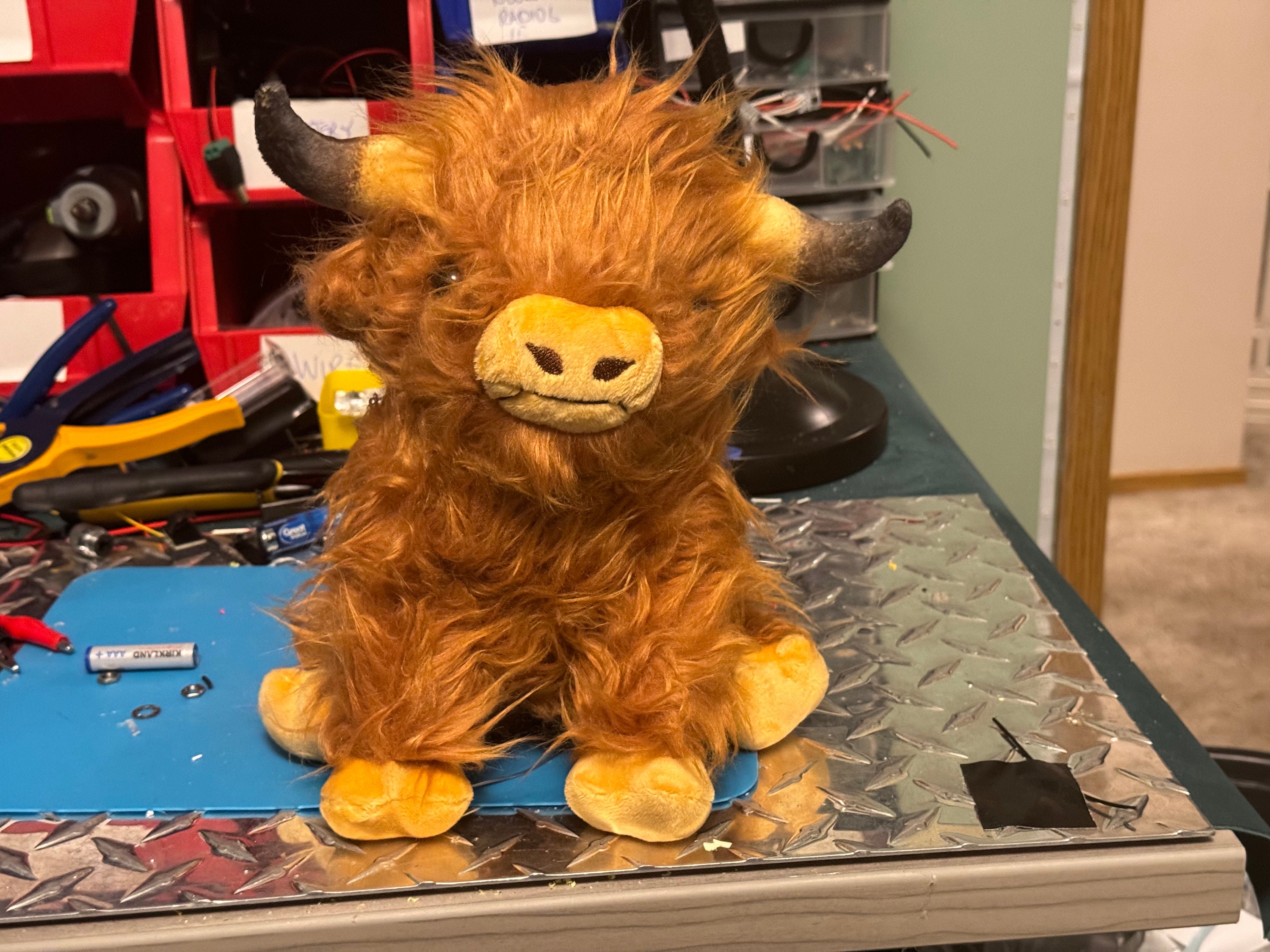 Ghost Hunting Highland Cow Ghost Hunting Equipment or Kit for ...