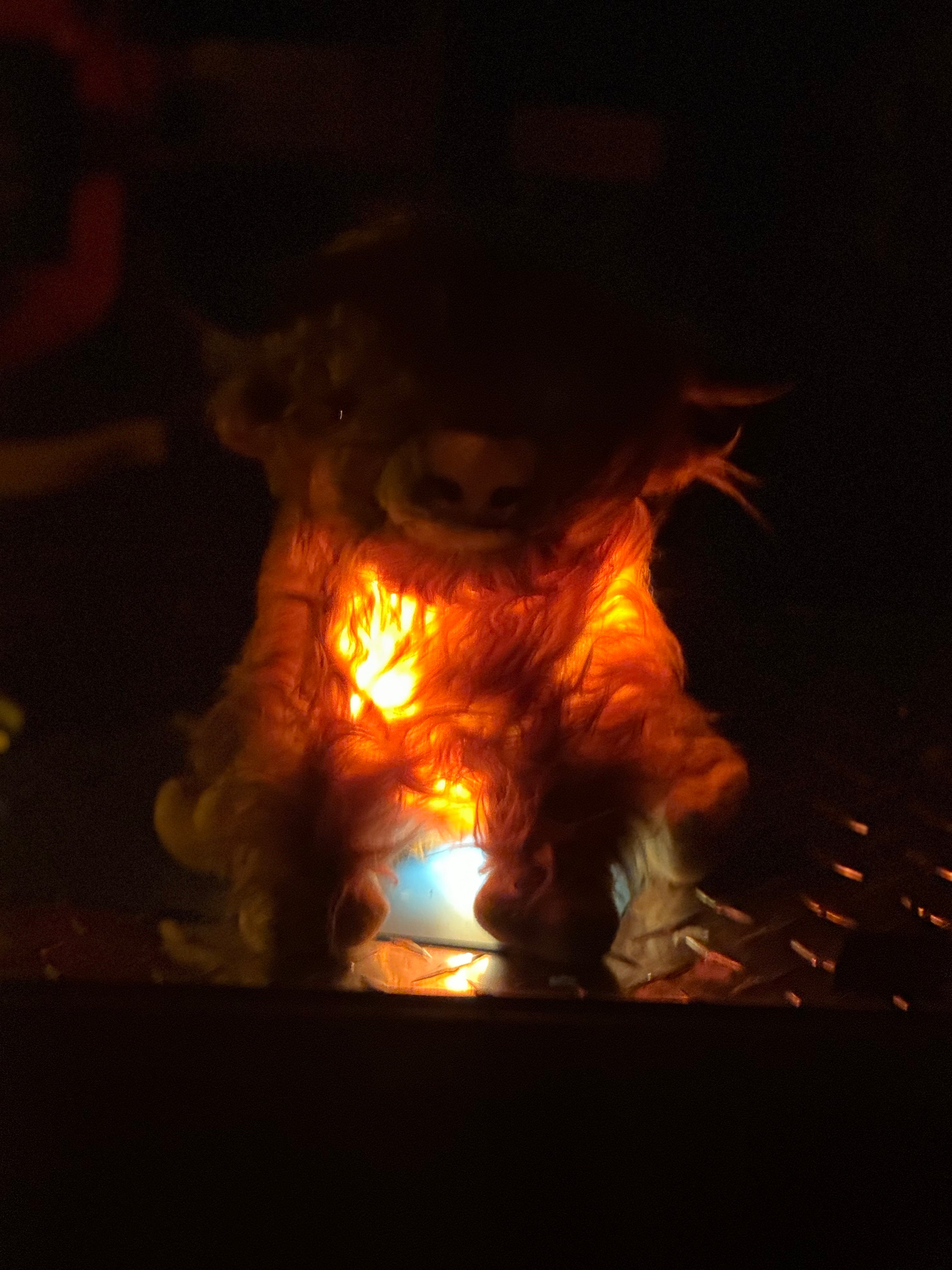 Ghost Hunting Highland Cow Ghost Hunting Equipment or Kit for ...