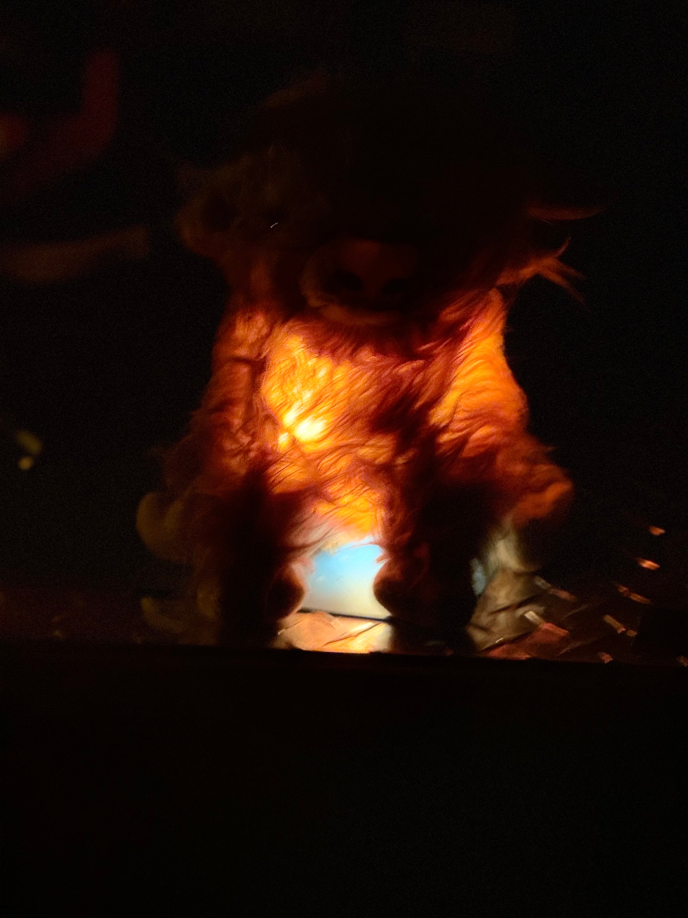 Ghost Hunting Highland Cow Ghost Hunting Equipment or Kit for ...