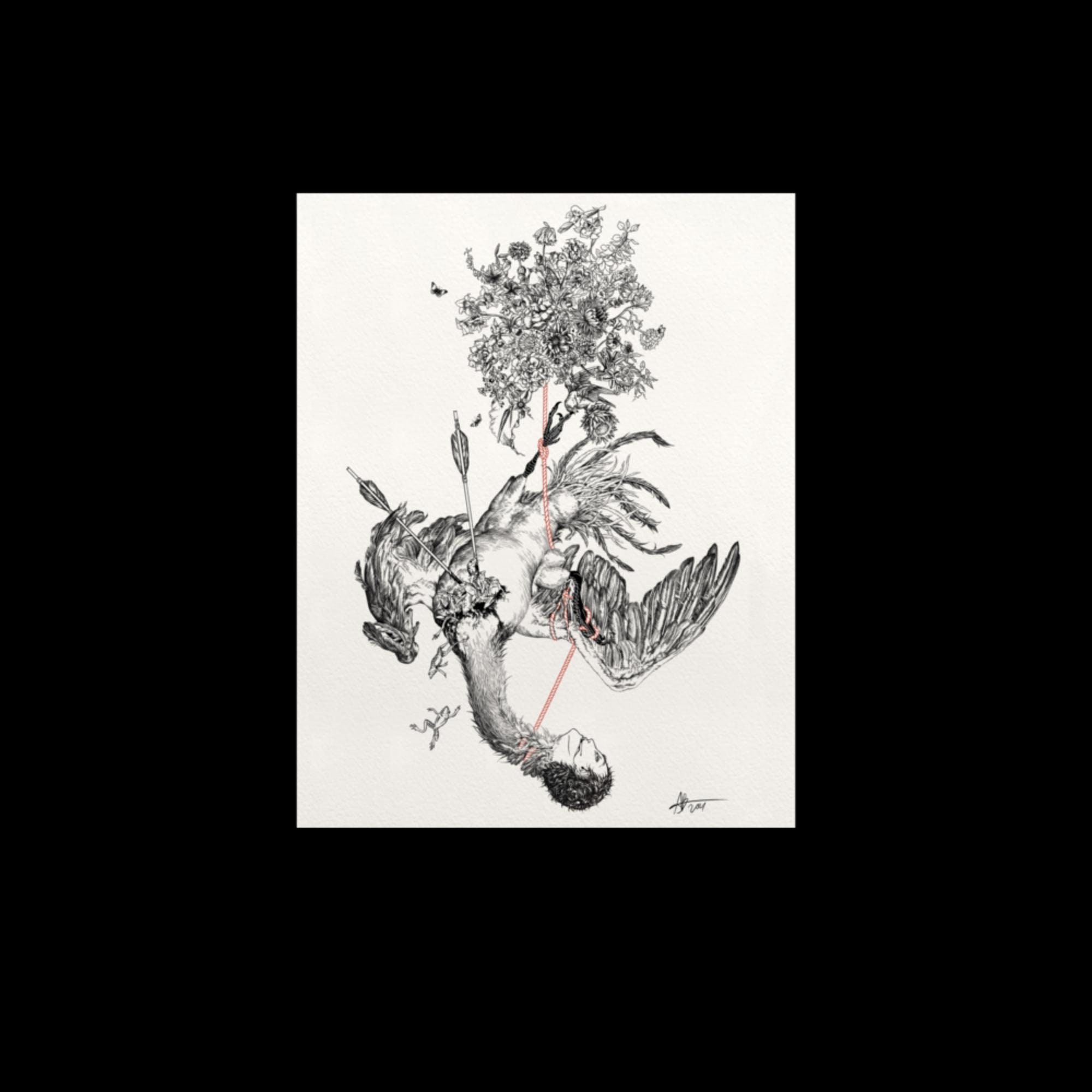 Art Print "harpy" - Etsy