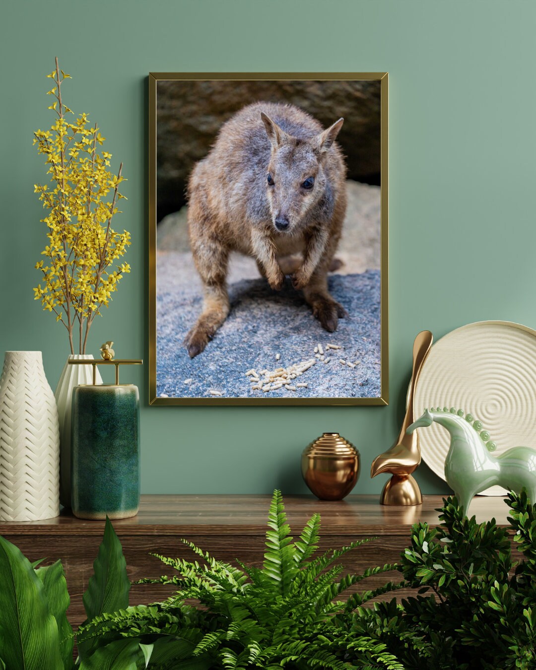 Digital Print Download | Original Photography | Wild Rock Wallaby ...