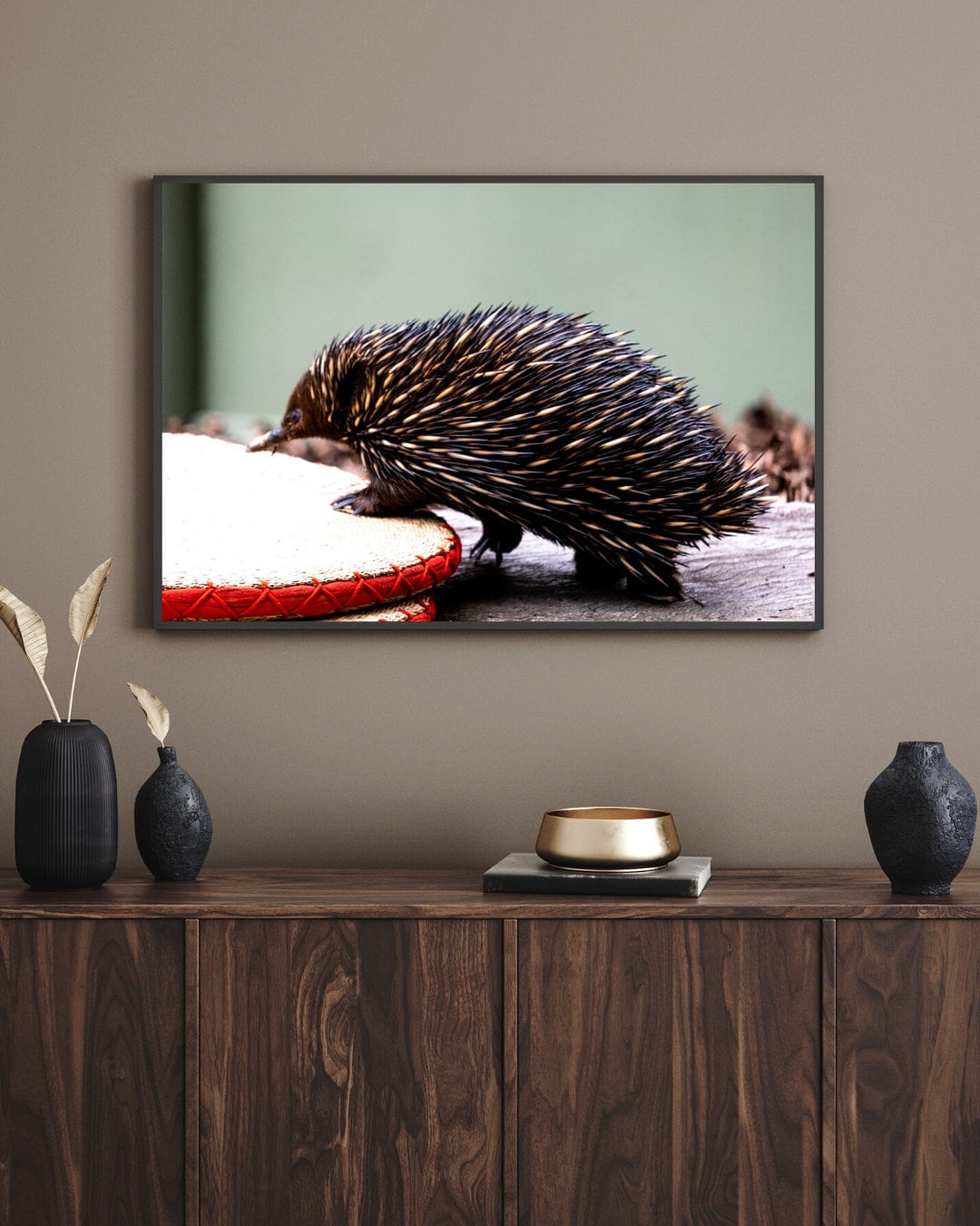 Digital Print Download | Original Photography | Echidna Portrait ...