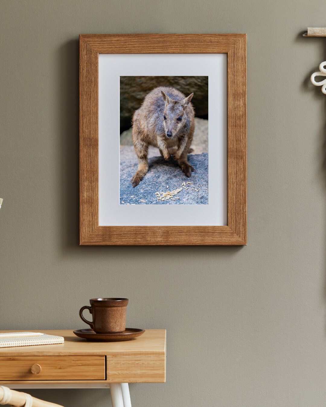 Digital Print Download | Original Photography | Wild Rock Wallaby ...