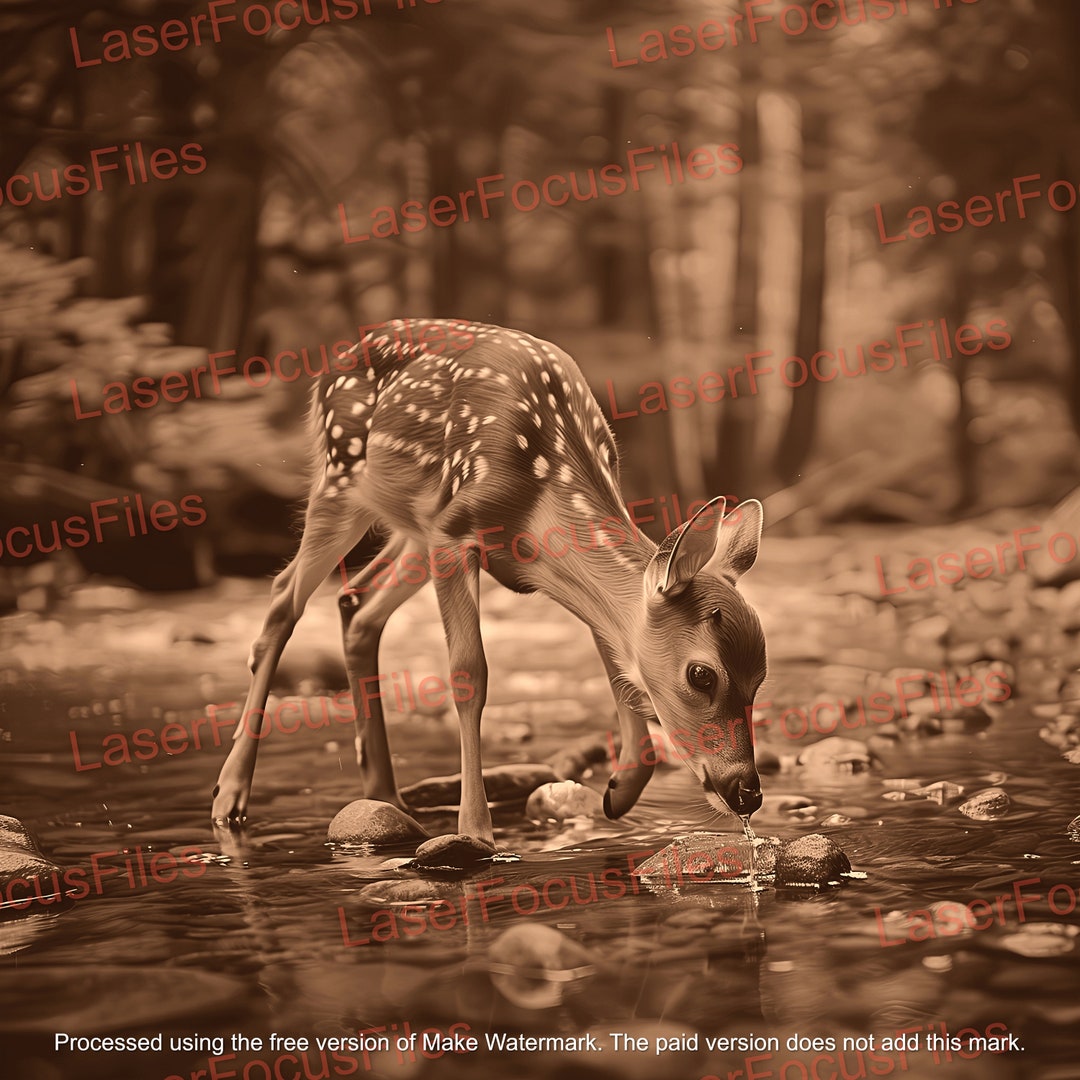 Laser Cut File | 3D Illusion | Laser Burn PNG | Laser Engrave File ...