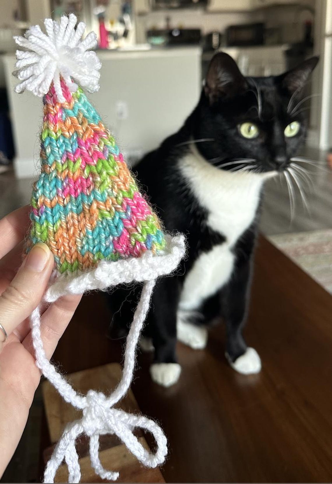 Cat Birthday Party Hat KNITTING PATTERN - Etsy