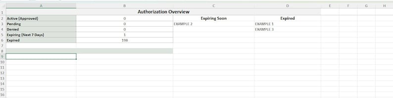Prior Authorization Tracker Spreadsheet | Insurance Authorization Log ...
