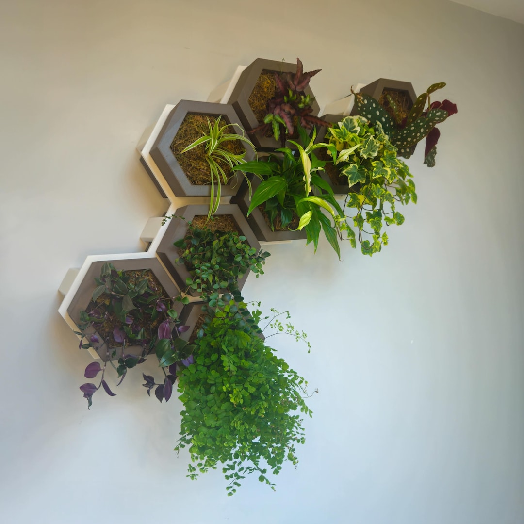 Hexa Six Modern Hexagonal Wall Planter | 3D Printed Minimalist Home ...