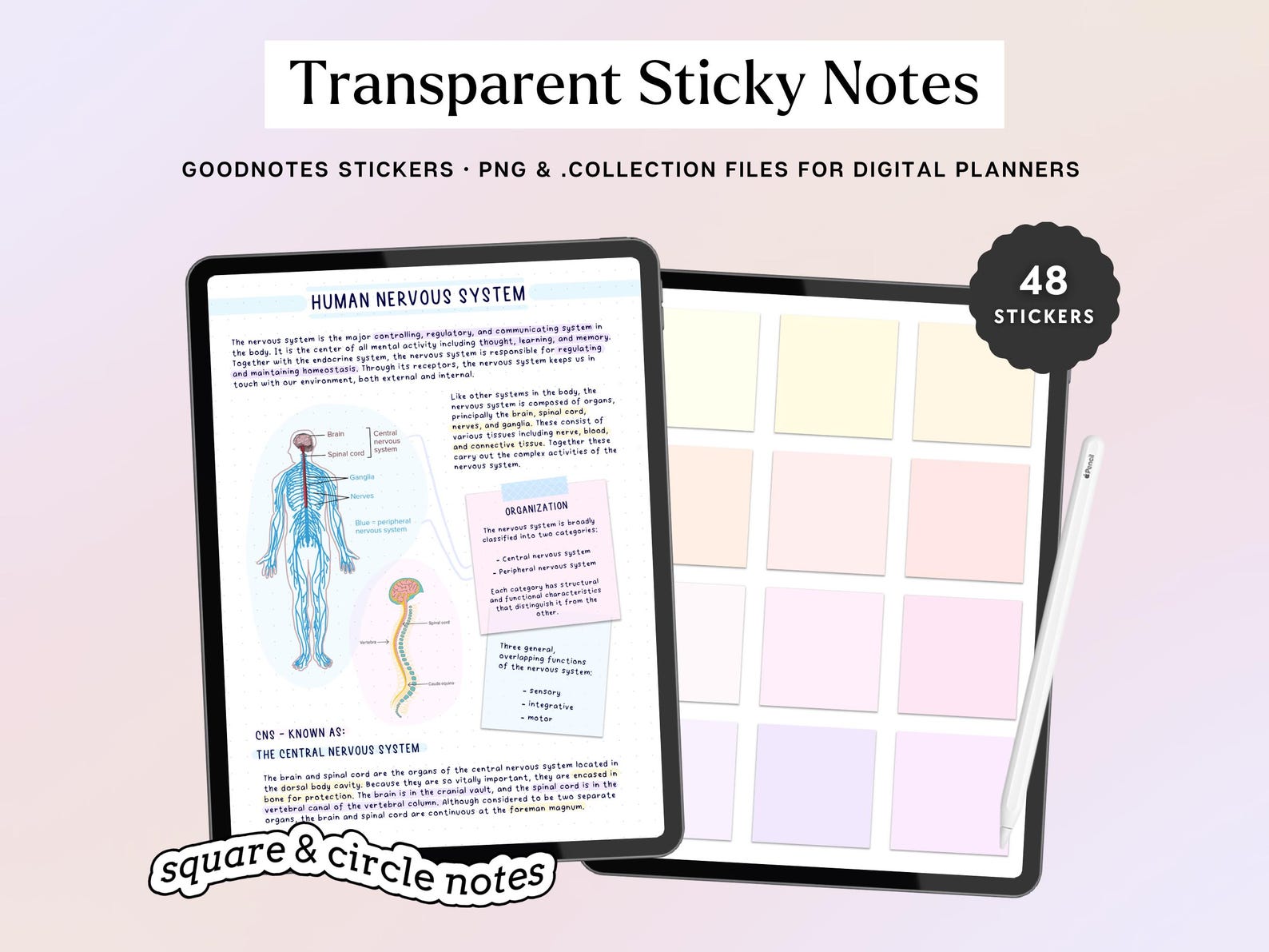 Digital Transparent Sticky Notes: Pastel Stickers for Goodnotes (PNG ...