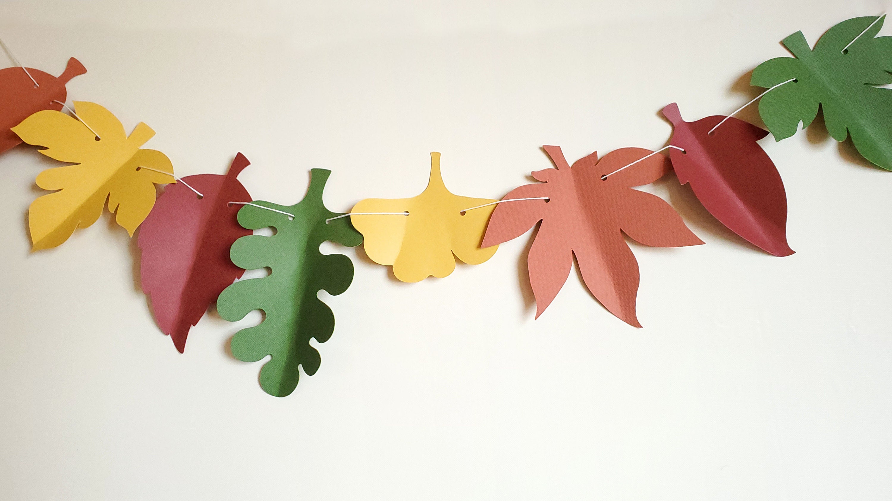 Fall Leaves SVG Banner - Ginkgo, Maple, Beech, Ash, Sycamore, Oak Leaf ...