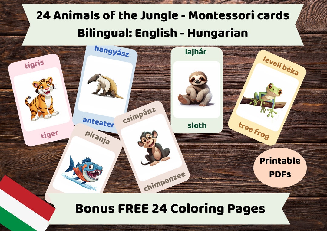 Bilingual (english - Hungarian) Montessori Flashcards - Set of 24 - Etsy