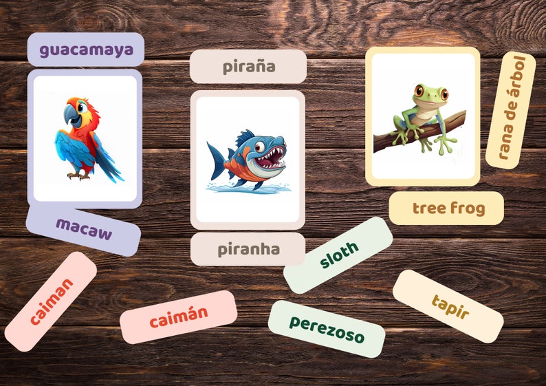 Bilingual (english - Spanish) Montessori Flashcards - Set of 24 - Etsy