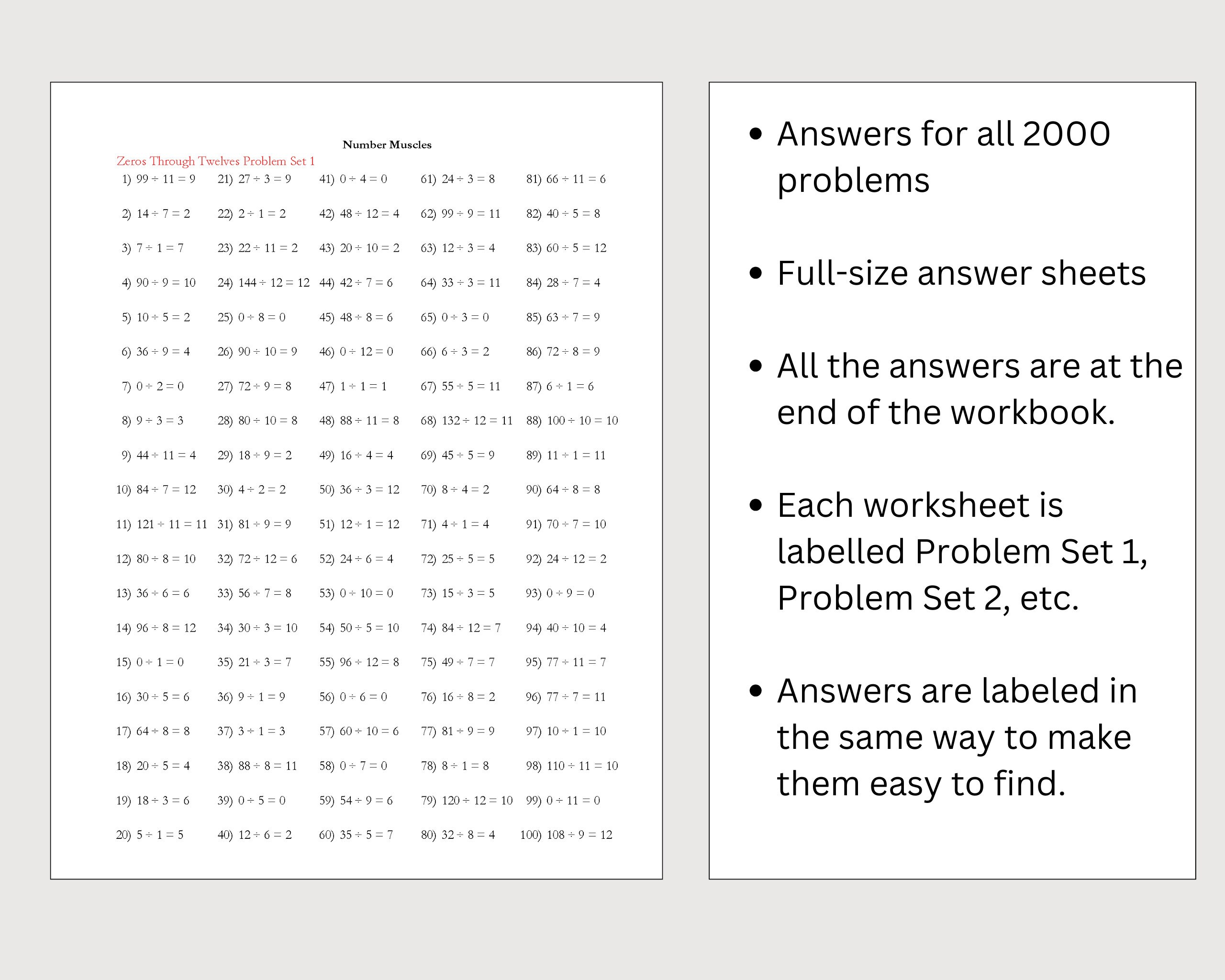 20 Division Instant Download Printable Worksheets, Third Grade Math ...