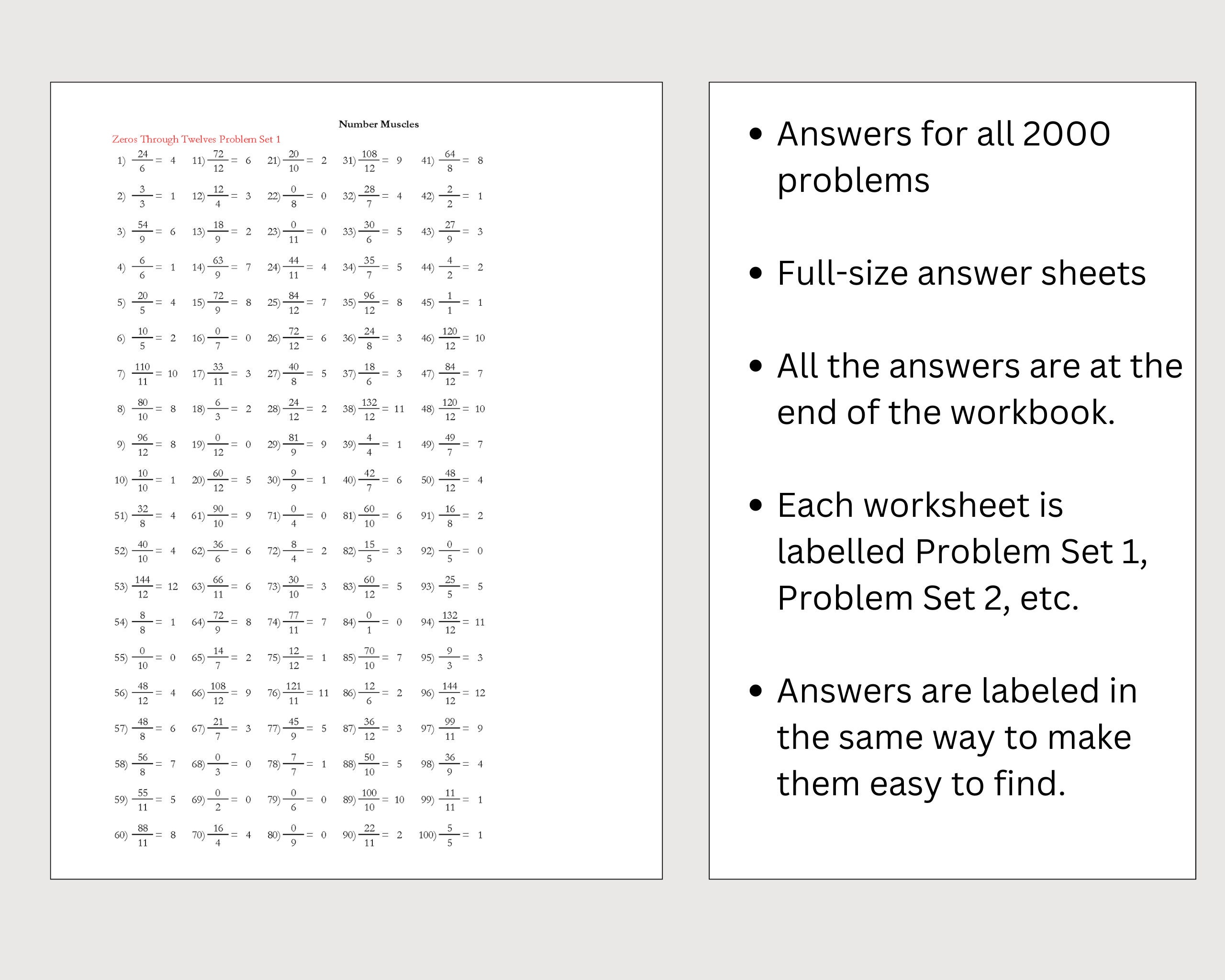 20 Division Instant Download Printable Worksheets, Third Grade ...