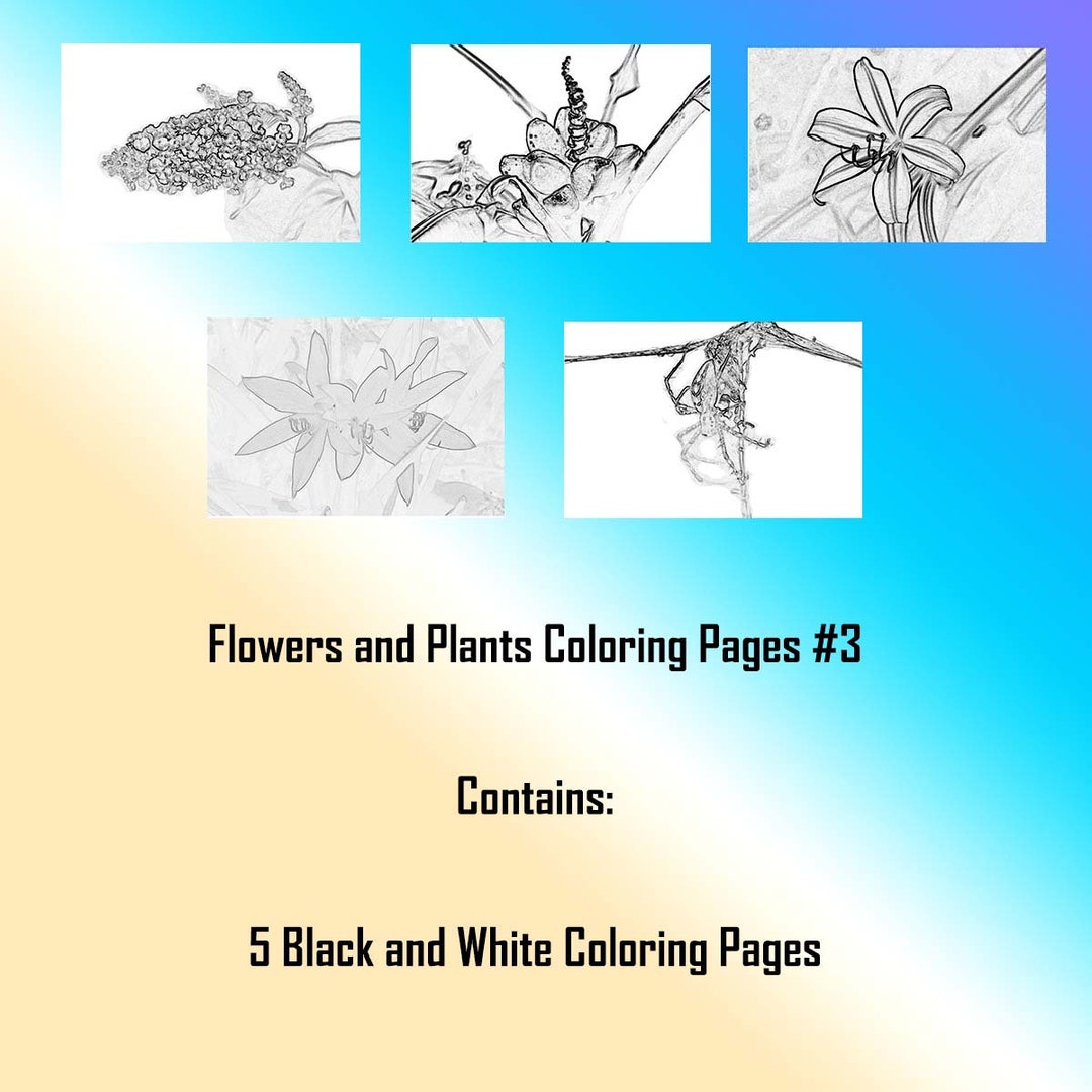 Flower and Plant Coloring Book Photos #3 - Etsy