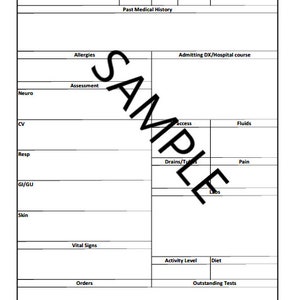 RN Report Template 1 Patient - Etsy