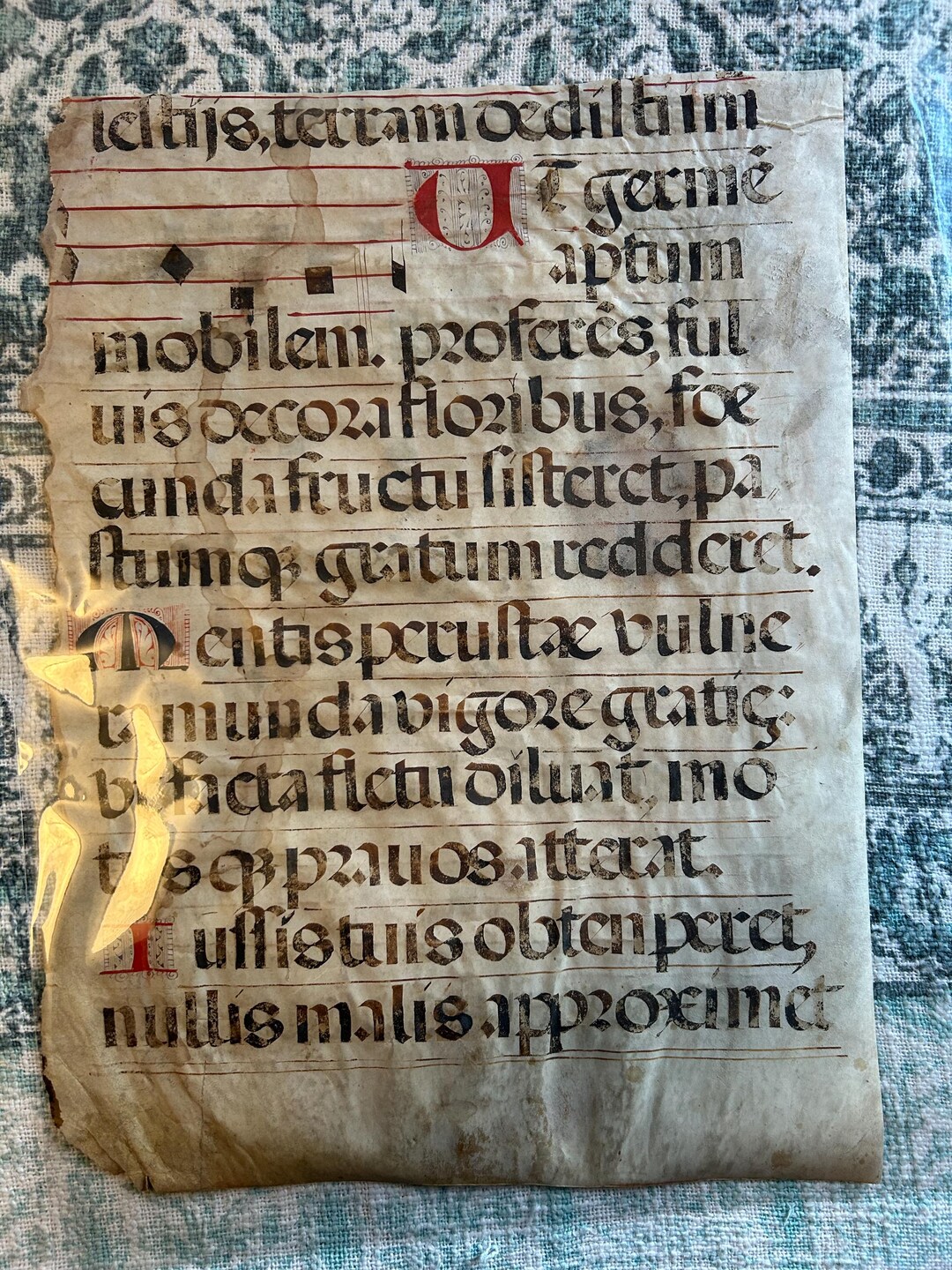 Catholic Song Book Page Leaf Vellum Mass Gradual Book Spanish 1700s ...