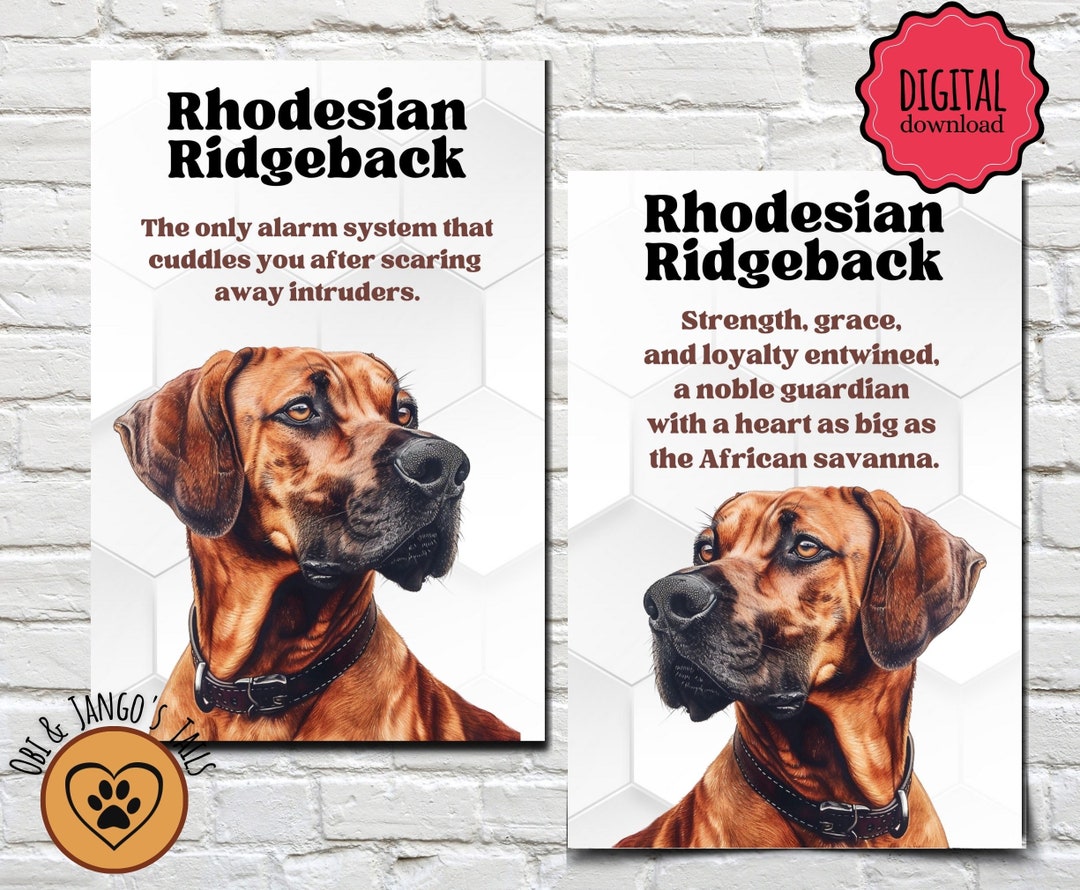 The Rhodesian Ridgeback | Poster| Print | Wall Art | Decor | Instant ...