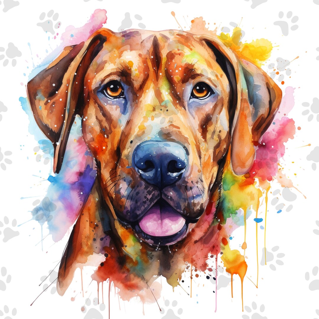 Prince Jango Rhodesian Ridgeback Digital Print | Wall Art | Sublimation ...