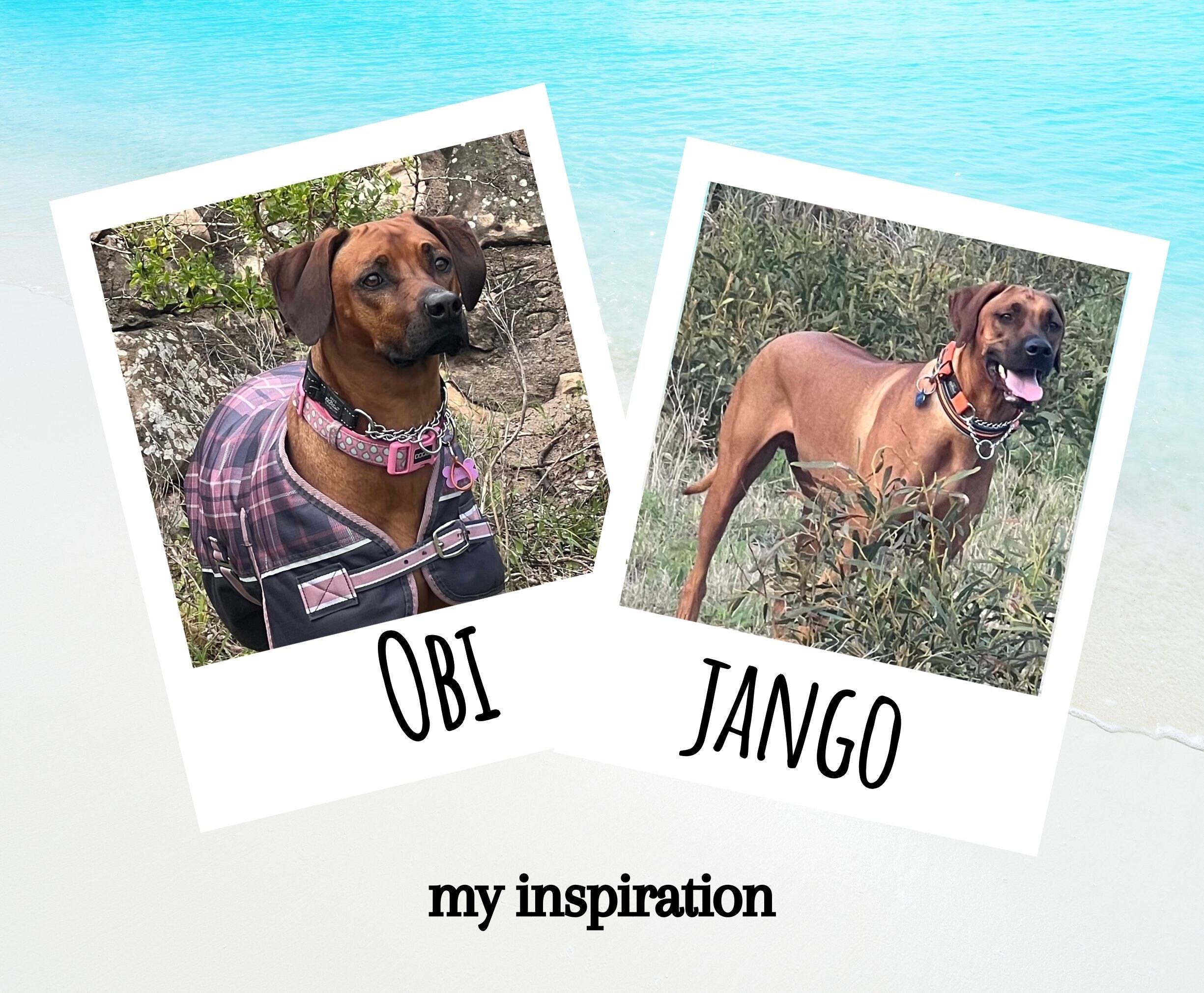 Paint Splash Rhodesian Ridgeback Digital Print Sublimation DTF Instant ...