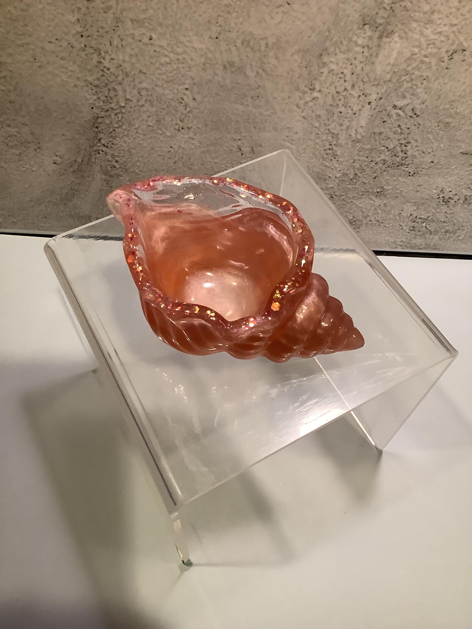 Coral Conch Shell - Etsy