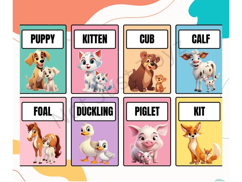 16 Baby Animals Flash Cards Baby Animals Printable Flash Cards Digital ...