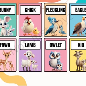 16 Baby Animals Flash Cards Baby Animals Printable Flash Cards Digital ...