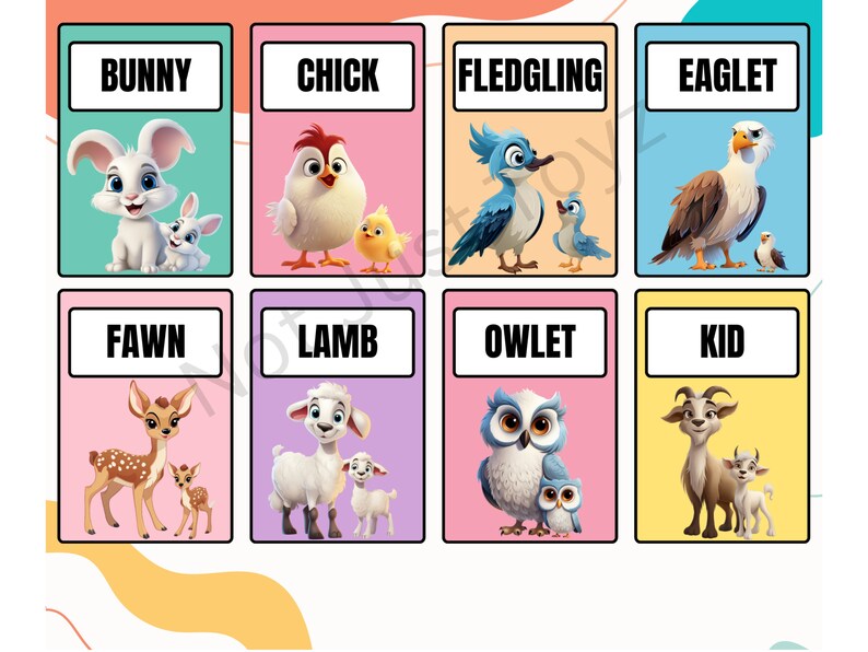 16 Baby Animals Flash Cards Baby Animals Printable Flash Cards Digital ...