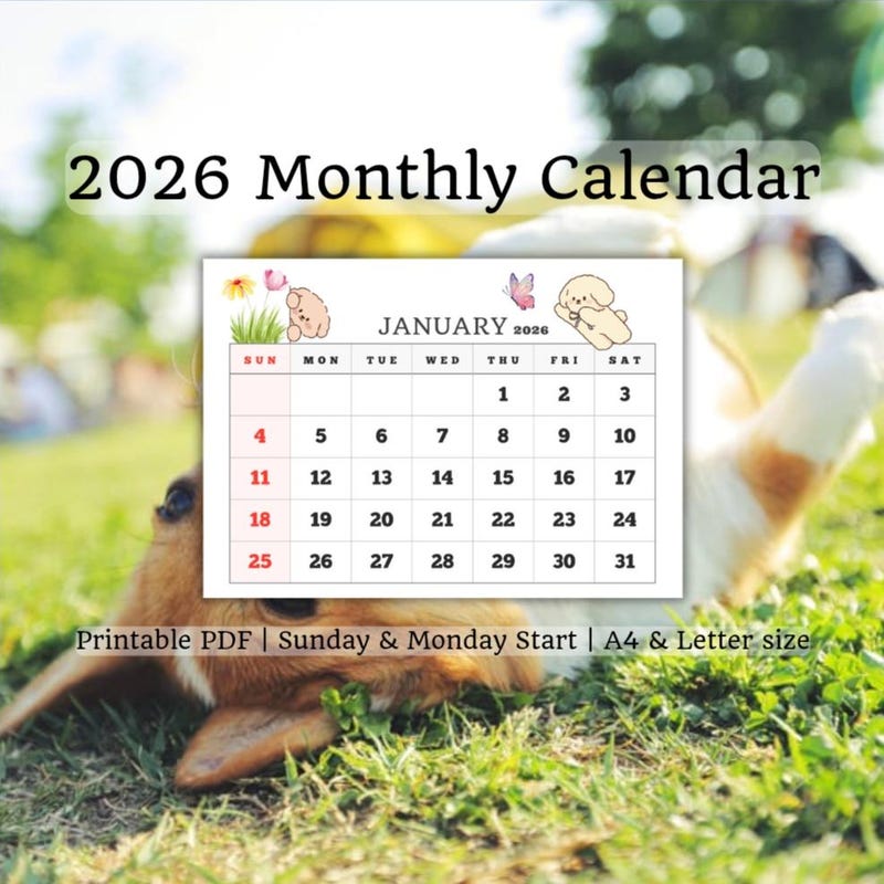 Paw Print Dog Calendar 2026 - Etsy