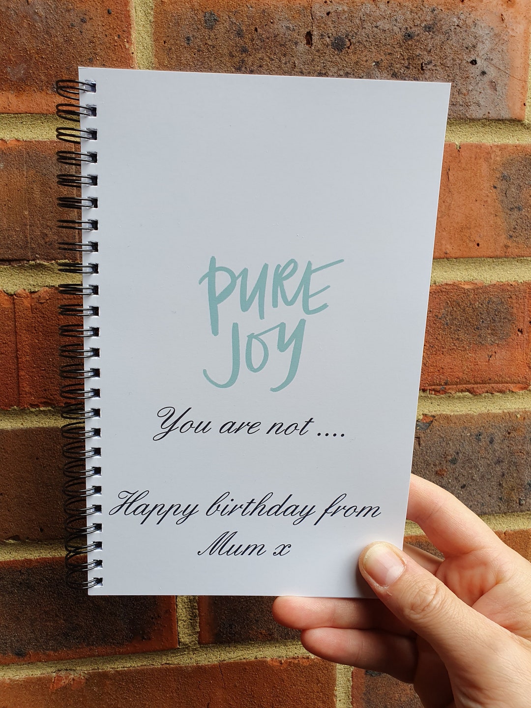 Pure Joy You Are Not Funny Birthday Present Notebook - Etsy