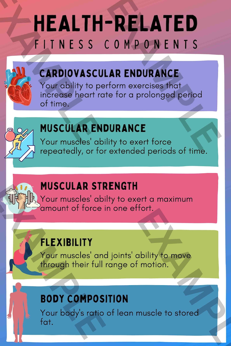 Health Related Components of Fitness Poster Health/physical Education ...