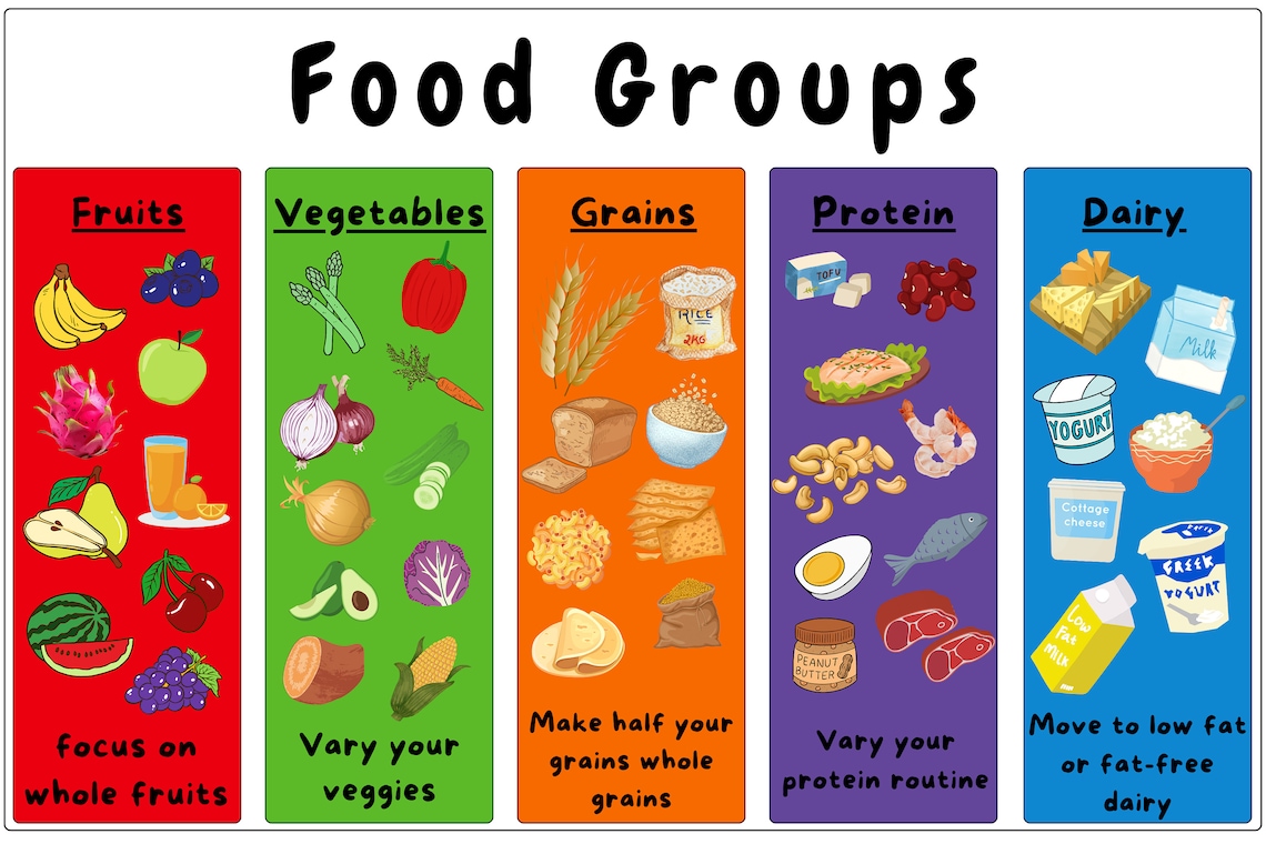 Health & Nutrition Myplate Food Group Poster/physical Education/gym ...