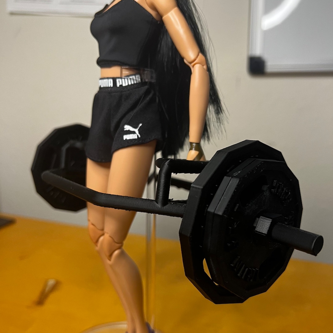 1:6 Scale Hex Bar 12-sided Weights 3d Printed Miniature - Etsy