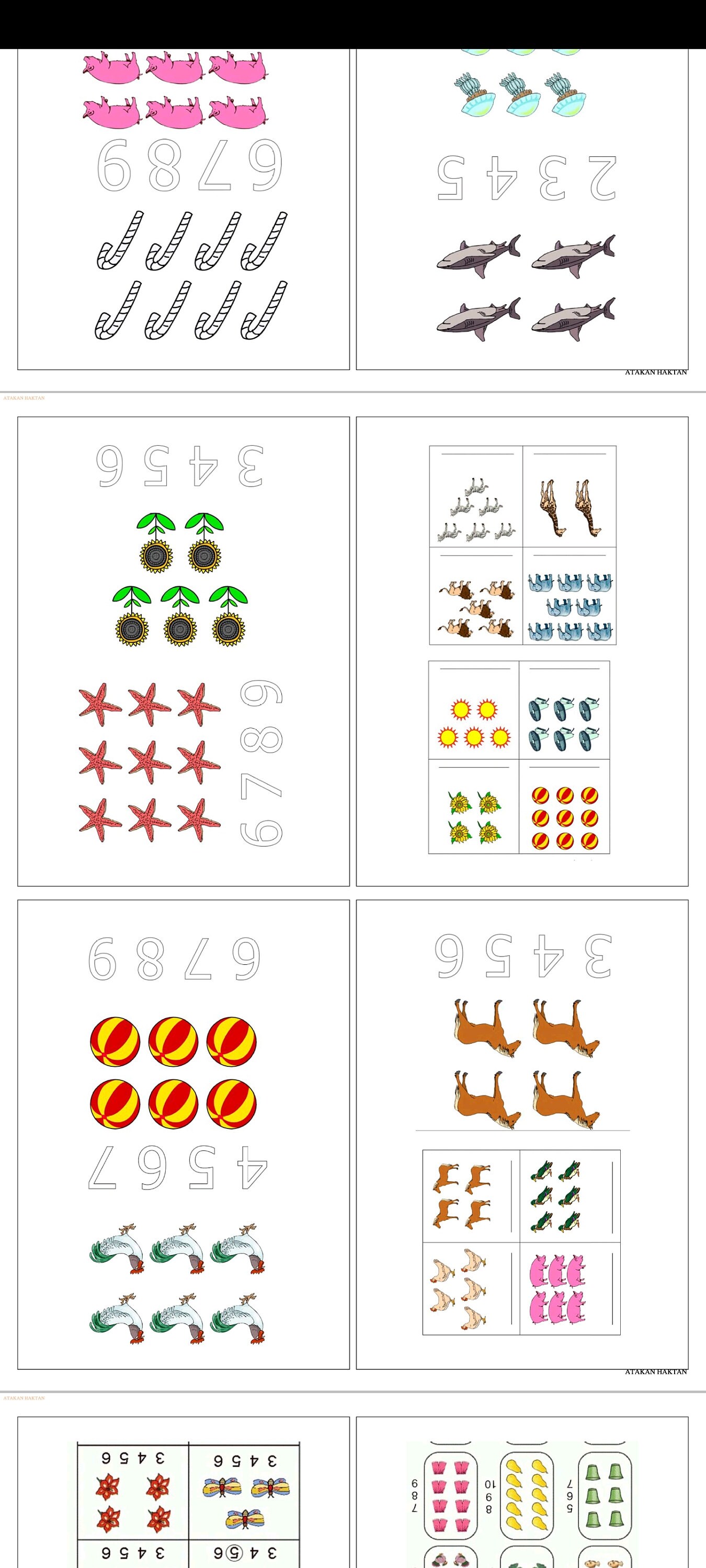 Counting Printable Objects, How Many There Are Worksheet, Kindergarten ...