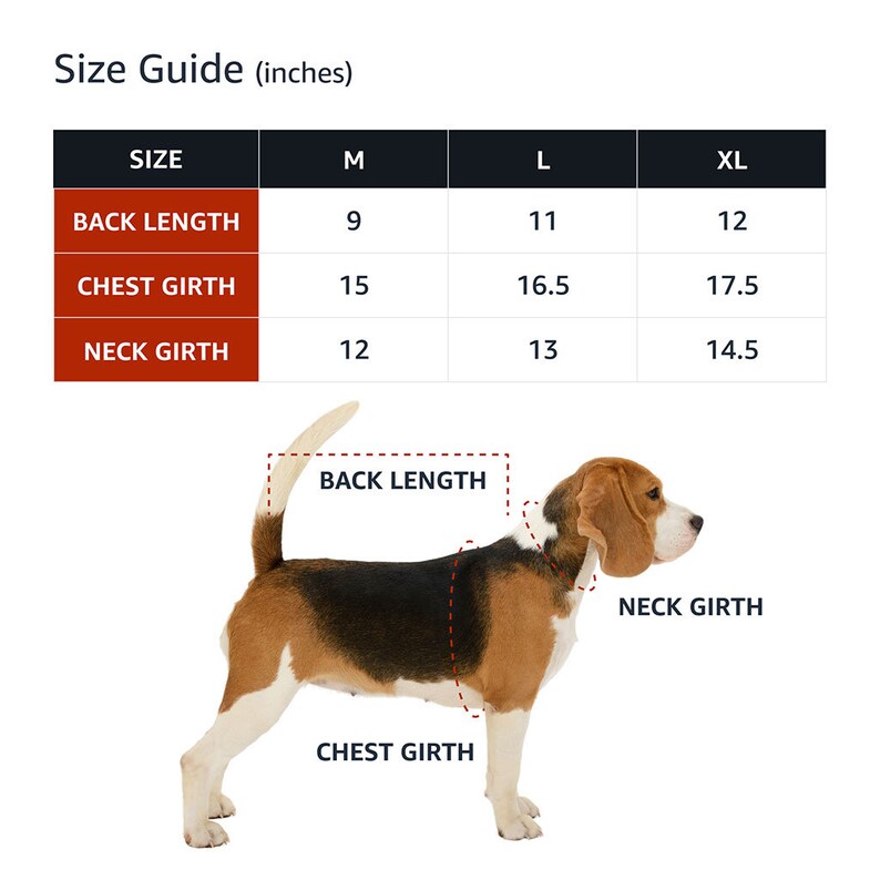 Promoted to Big Sister Dog Denim Jacket - Dog Stuff - Dog Clothes - Etsy