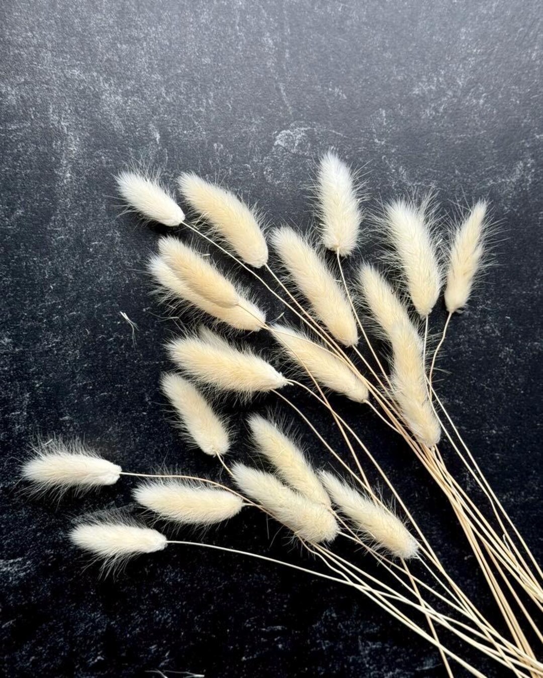 Bleached Bunny Tails | Dried Grass Stems for Crafts | DIY Projects ...