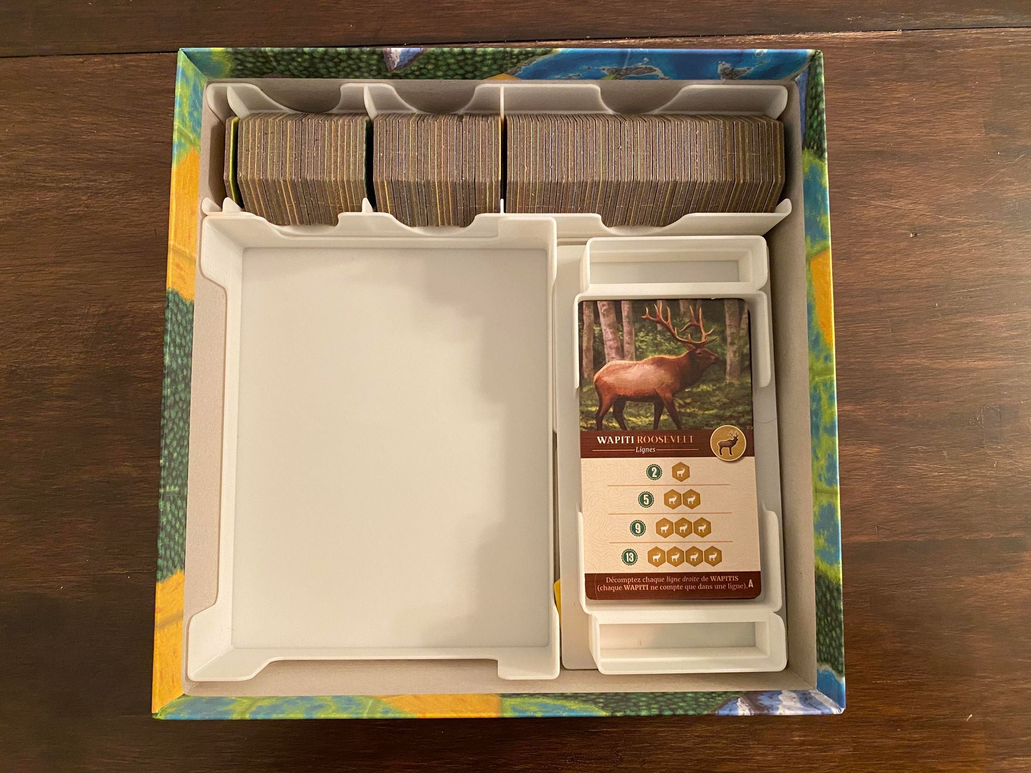 Cascadia Insert Cascadia Board Game Organizer - Etsy