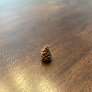 Cascadia 3d Print Pine Tokens 25 Pack - Etsy