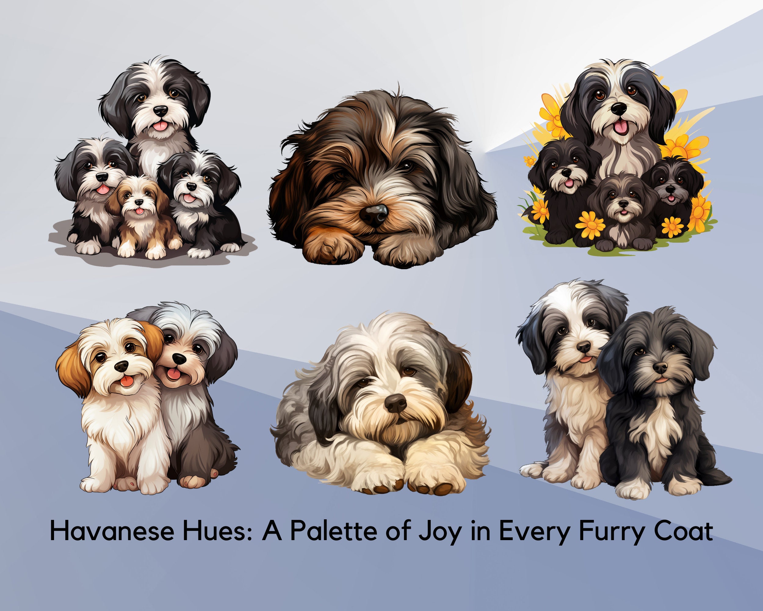 Havanese Haven 22 Cliparts Harmony Charming Collection Silky Companion ...