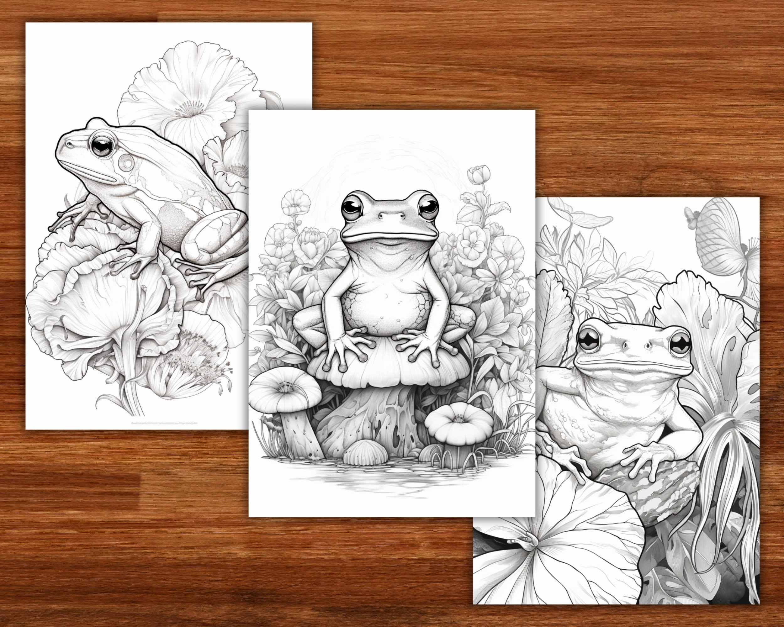 Little Frog Line Drawing Coloring Book Friendly Frog Coloring Book ...