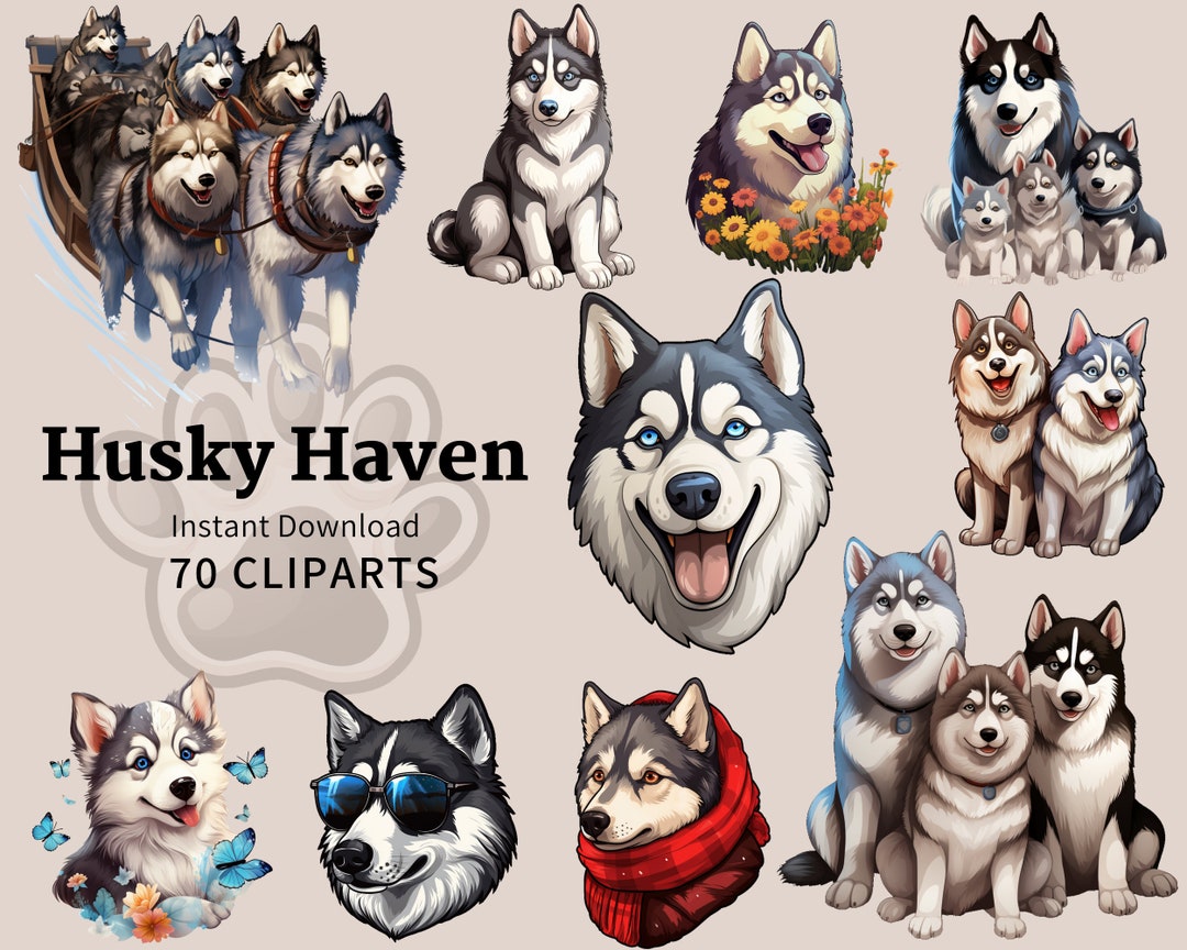 70 Siberian Husky Pngs | Premium Clipart for Dog Lovers | Ideal for ...