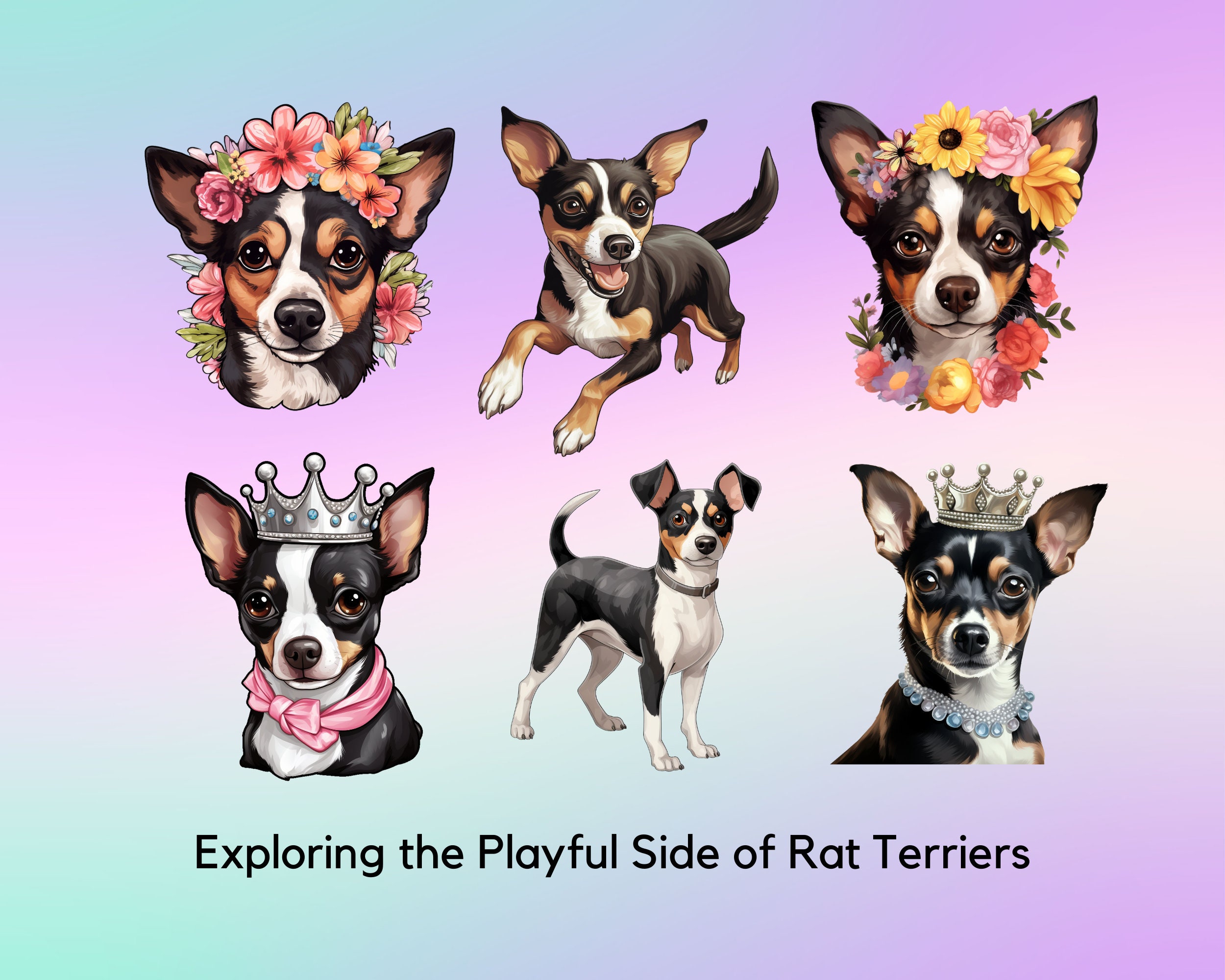 Rat Terrier Love 18 Cliparts Pack Playful Rat Terrier Puppies Loyal ...