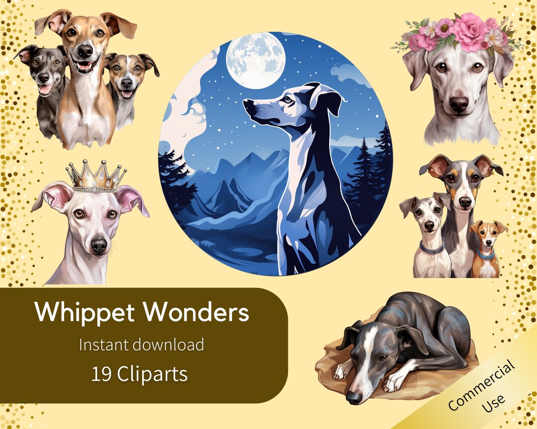 Whippet Wonders 19 Cliparts Whippet World Cute Puppies Whippet Dog ...
