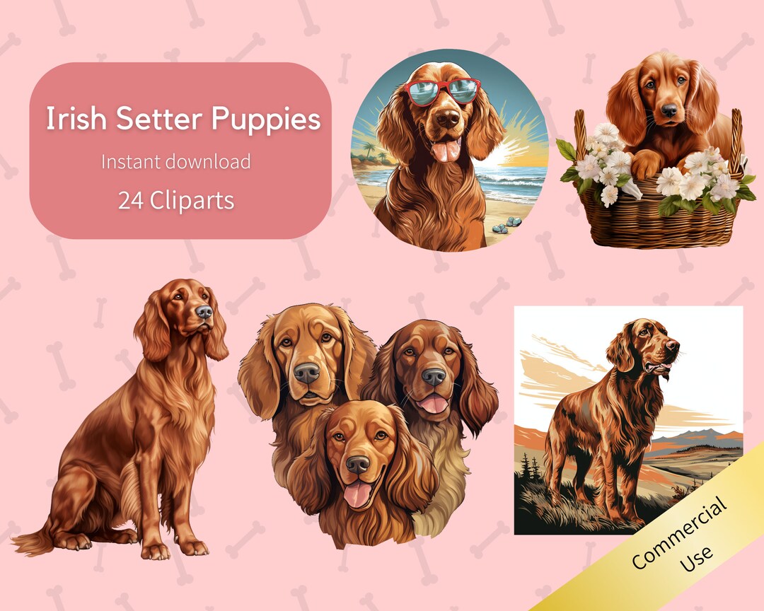 Irish Setter 24 Cliparts Delightful Irish Setter Sunset Playful Trio ...