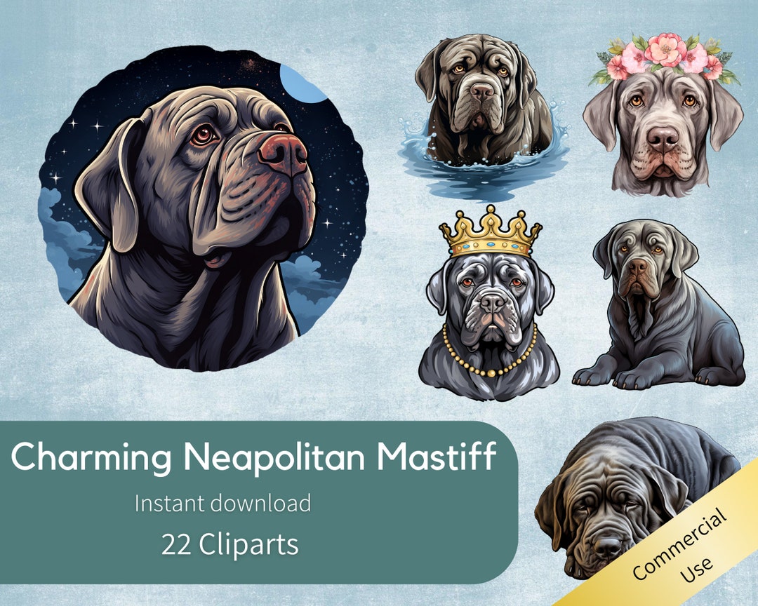 Charming Neapolitan Mastiff 22 Cliparts Cute Neapolitan Puppies Royal ...