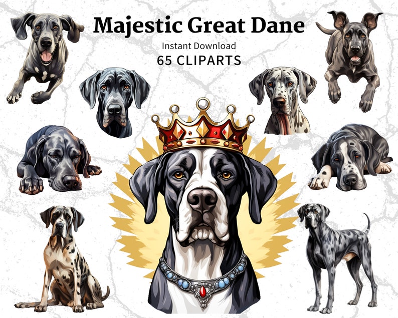 65 Majestic Great Dane Pngs | Perfect Clipart for Invitations, Gentle ...