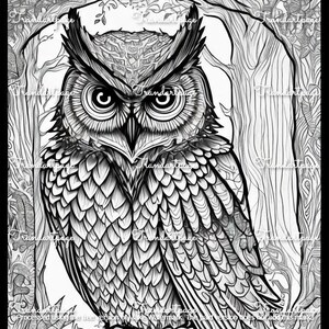 Coloring Page GRAYSCALE Magic Owl Woodland Male Illustration - Etsy