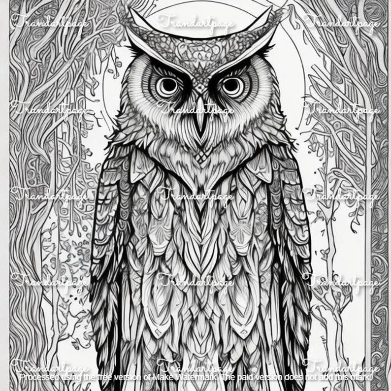 Coloring Page GRAYSCALE Magic Owl Woodland Male Illustration - Etsy