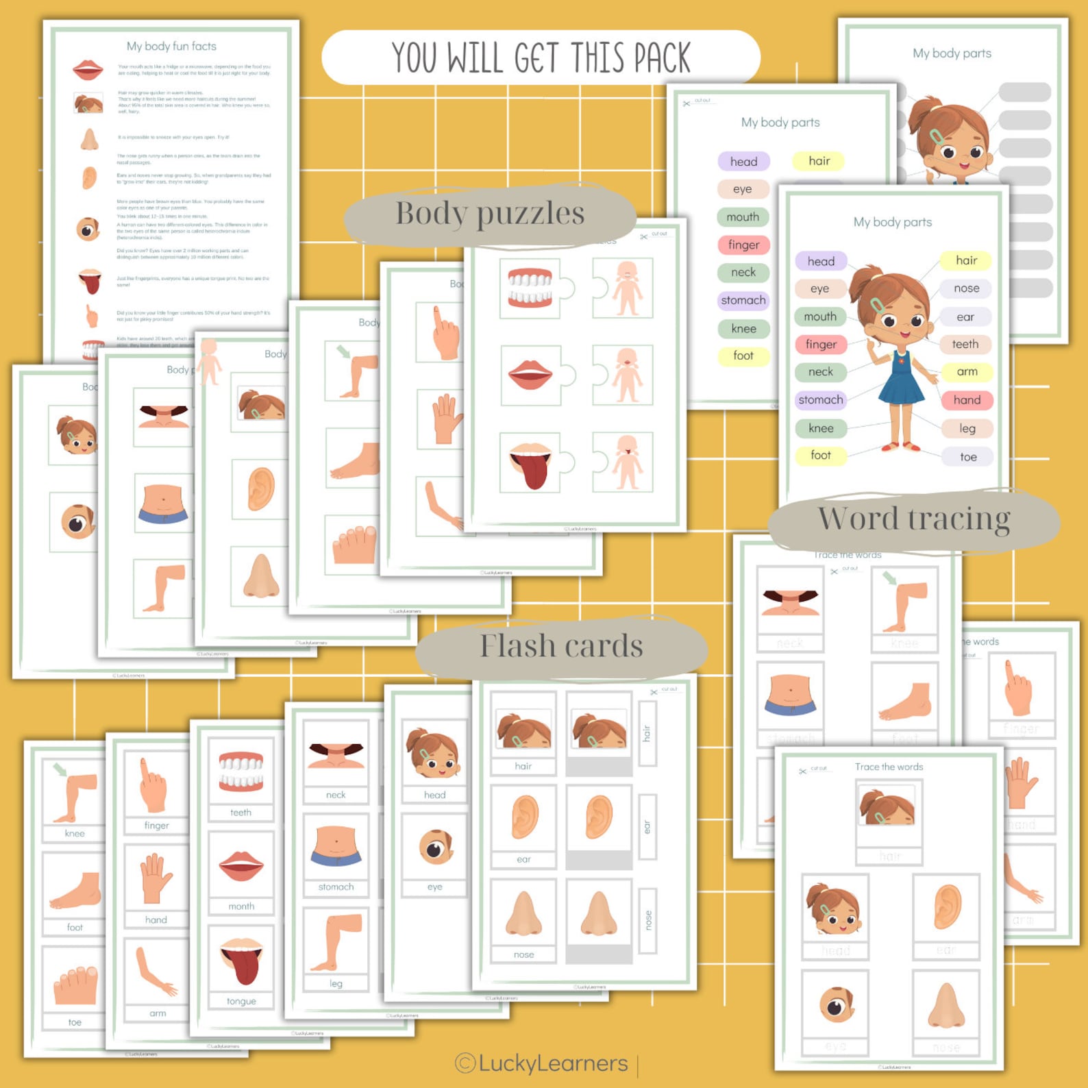 Body Parts Busy Bundle, Printable Montessori Materials, Tracing Words ...