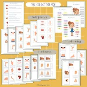 Body Parts Busy Bundle, Printable Montessori Materials, Tracing Words ...